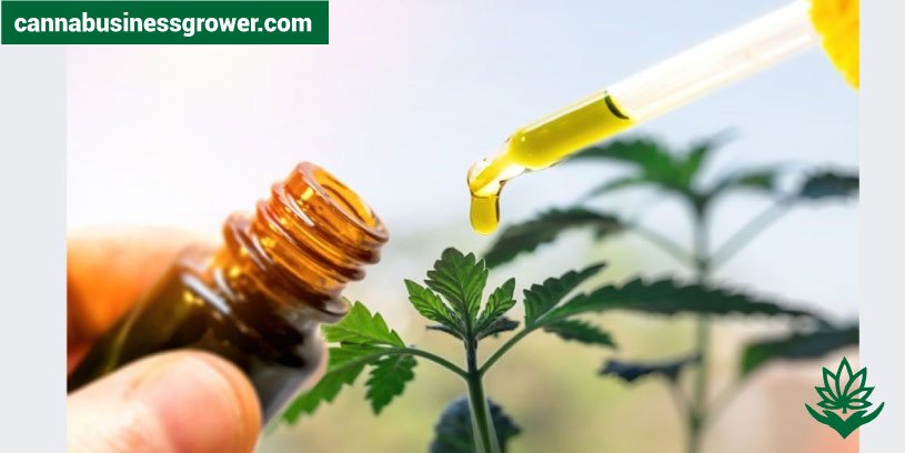 Finding the Right Dosage of Cannabis - Cannabusiness Grower Finding the Right Dosage of Cannabis - Cannabusiness Grower